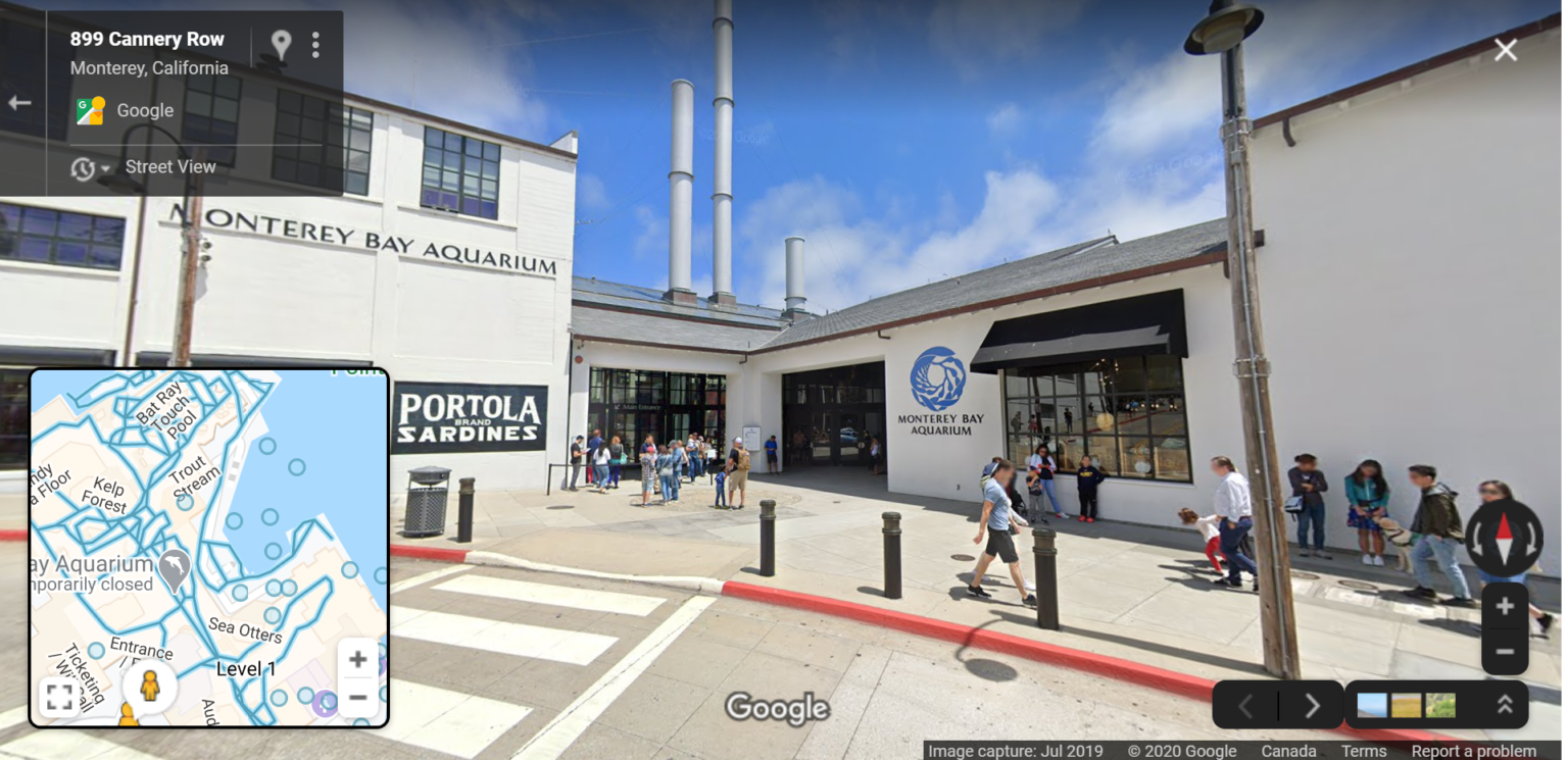 Monterey Bay Aquarium Virtual Tour: A Complete Guide