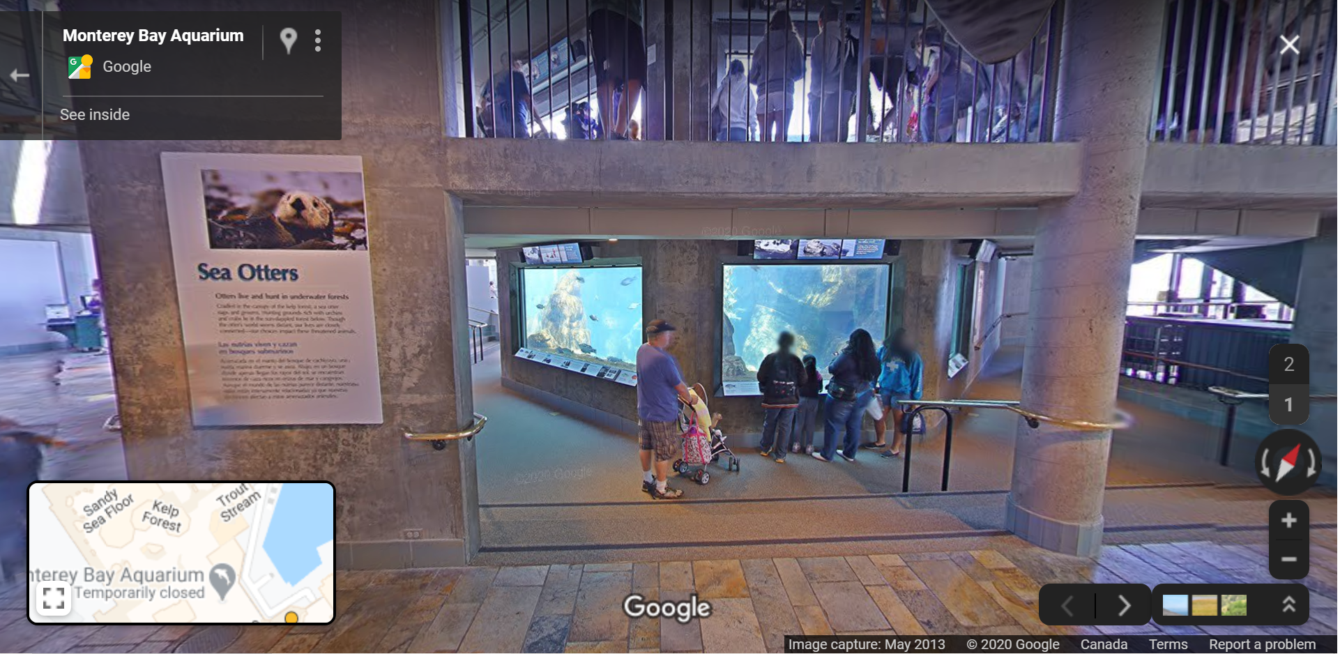 Monterey Bay Aquarium Virtual Tour: A Complete Guide