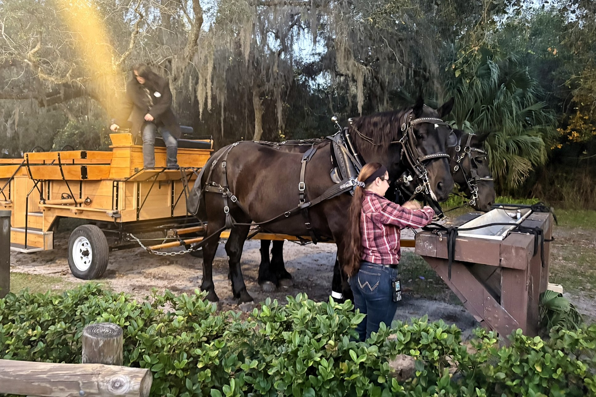 Disney World Resort Hopping 2026: A Comprehensive Guide - Mama's on ...