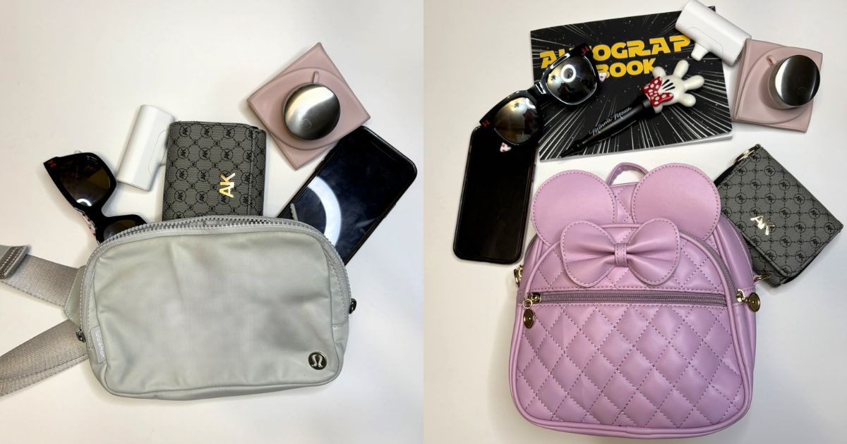 Disney Day Bag Packing List: Essentials for Every Type of Disney Day ...